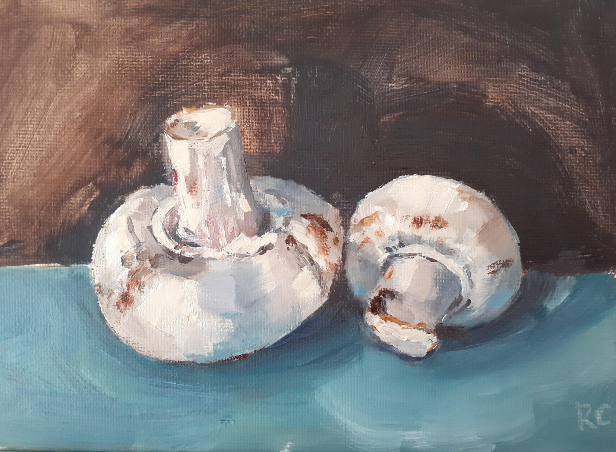 2 mushrooms – Robyn Carson Artist